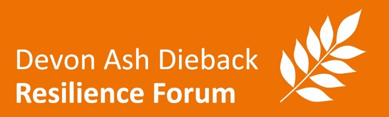 Devon Ash Dieback Plan refresh 2021 - Ash dieback in Devon